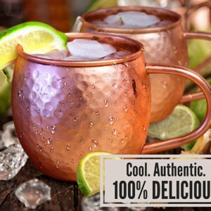 Willow & Everett Set of 4 Moscow Mule Copper Mugs with Copper Shot Glass - 4 16oz Copper Moscow Mule Mugs - Solid Copper Hammered Mug - Copper Cups for Moscow Mules