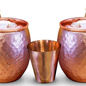 Willow & Everett Set of 4 Moscow Mule Copper Mugs with Copper Shot Glass - 4 16oz Copper Moscow Mule Mugs - Solid Copper Hammered Mug - Copper Cups for Moscow Mules