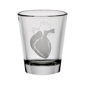 Anatomically Correct Heart Shot Glass (Clear)