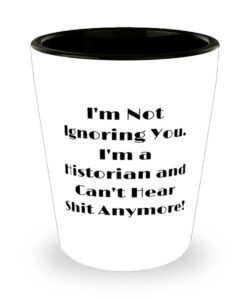 i'm not ignoring you. i'm a historian and can't hear shit anymore! historian shot glass, gag historian, ceramic cup for coworkers