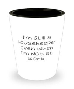 special housekeeper, i'm still a housekeeper even when i'm not at work, inappropriate shot glass for friends from team leader