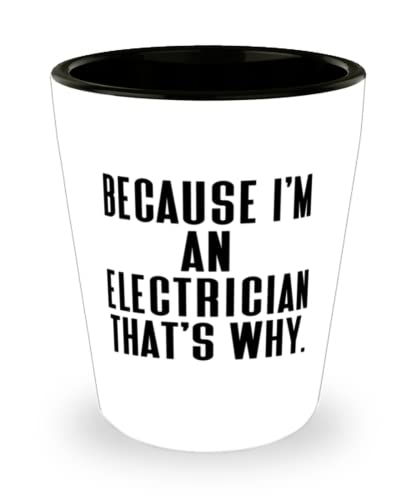 Fun Electrician Gifts, Because I'm an Electrician That's Why, Love Birthday Shot Glass From Friends, Funny