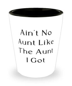 motivational aunt, ain't no aunt like the aunt i got, funny shot glass for from niece