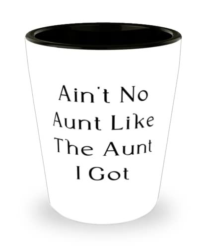 Motivational Aunt, Ain't No Aunt Like The Aunt I Got, Funny Shot Glass For From Niece