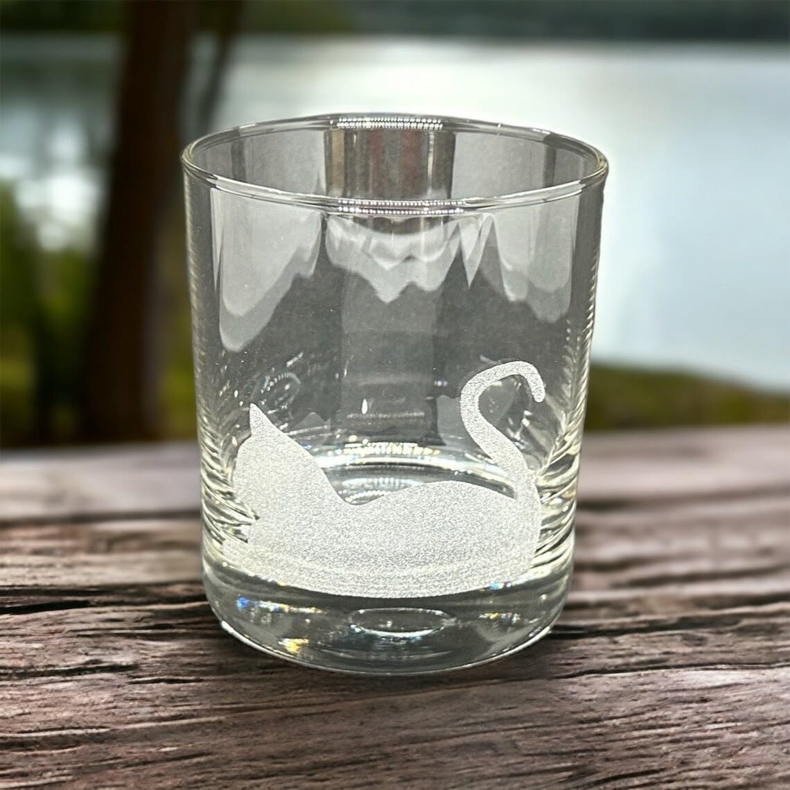 Brindle Southern Farms Cute Cats Being Cats Rocks Glasses: 4 Engraved 10oz. Rocks Drinking Glasses: cat lover, cat decor, cat mom