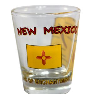 Souvenir Shot Glass New Mexico - NM