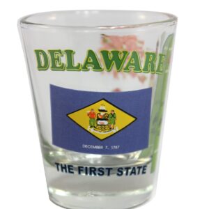 Souvenir Shot Glass - Delaware