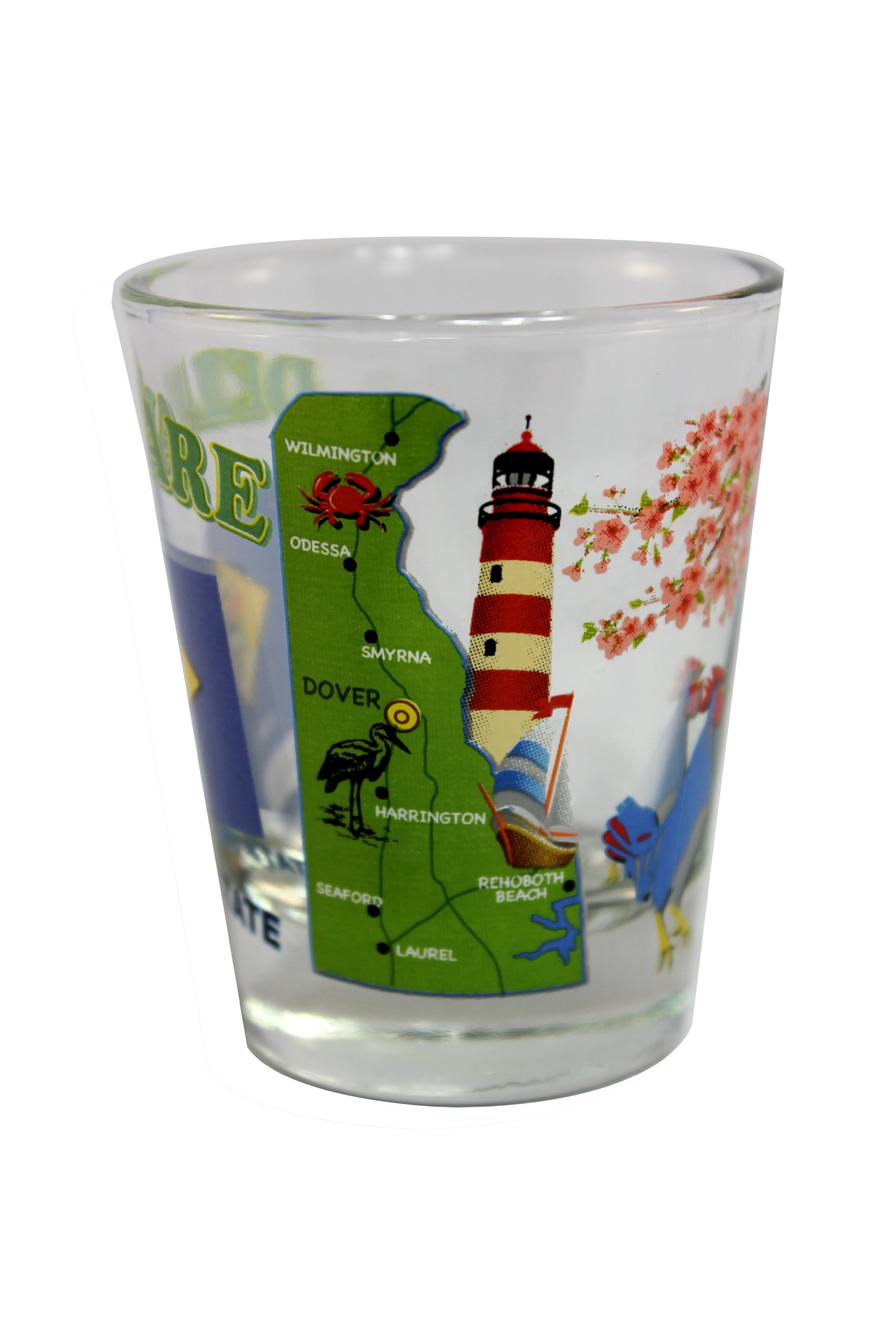 Souvenir Shot Glass - Delaware