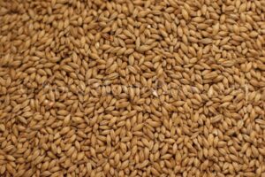 maris otter malt (10 lb)