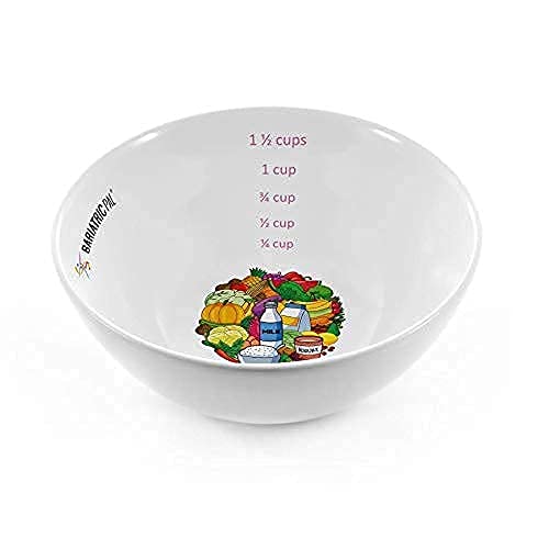 BariatricPal Bariatric Portion Control Bowl & Pink Portion Control Plate Set