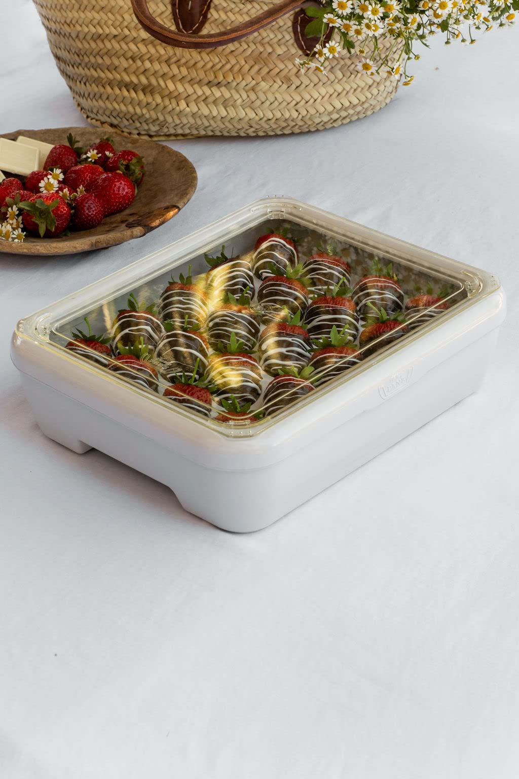 Fancy Panz Deviled Egg Trayz Insert for use with Fancy Panz Classic, Premium & 2in1. Holds 20 eggs