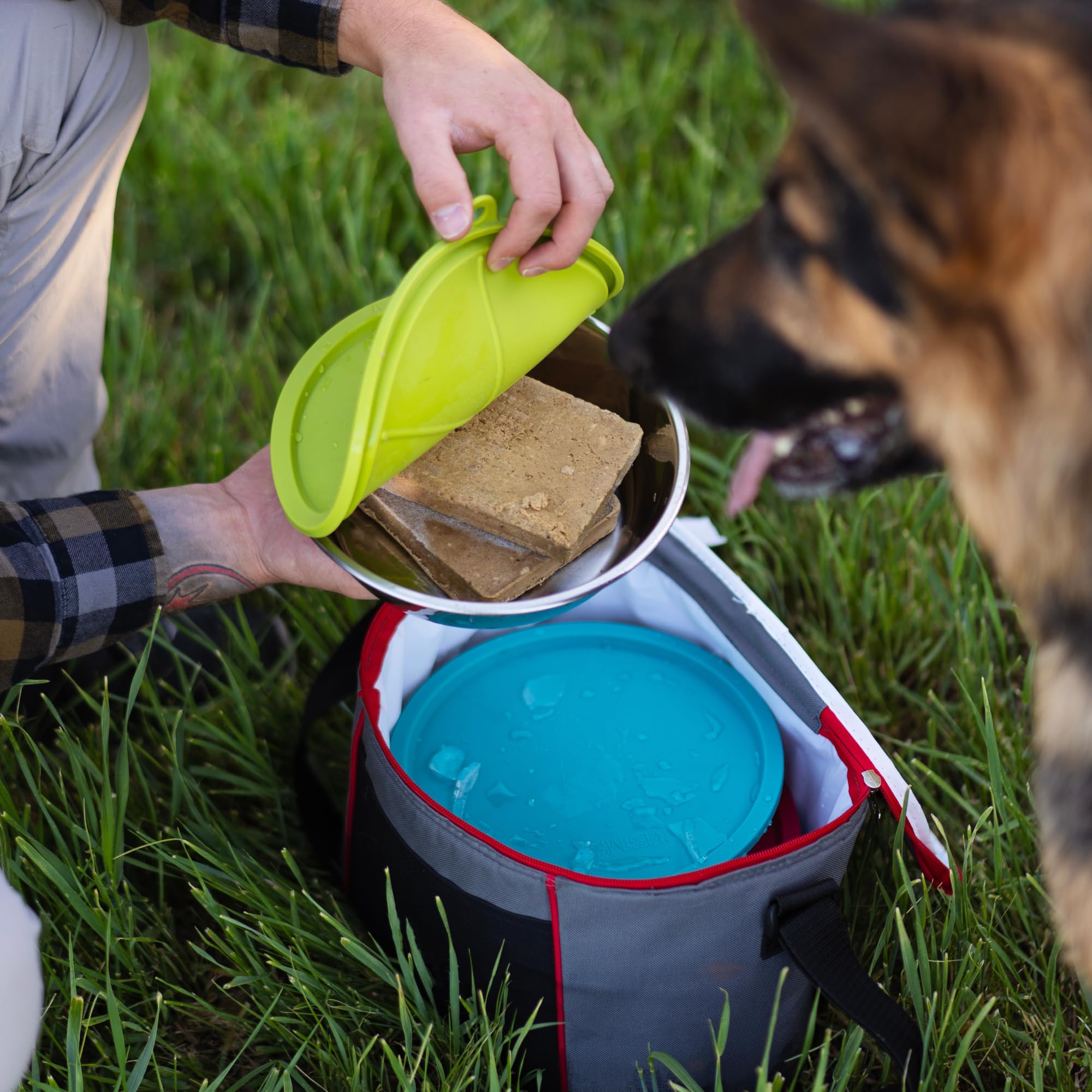 Messy Mutts 6-Piece Set | Three Stainless Steel Bowls and Three Colorful Silicone Lids | Sealable Travel Containers | Portable Food/Water Dishes for Pets | Medium, 1.5 Cups