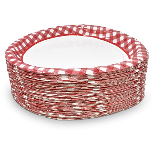 50 Gingham Oval Plates Paper 10" x 12" Summer Picnic BBQ Party Supplies Red and White Checkered Gingham Large Disposable Platter for Barbecue Burger Cookout Serving Tray Baby Shower Birthday Tableware