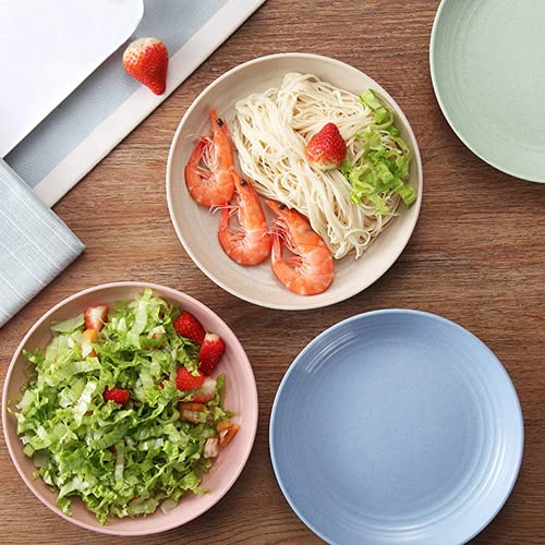 shopwithgreen Wheat Plastic Reusable Dinner Plates, Camping Outdoor Plates Sets, for Kitchen, Dorm Room, Microwave Dishwasher Safe, Unbreakable and Lightweight, 7.8 Inch, 4 PCS