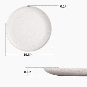 MISS BIG Dinner Plates,10 inches Plastic Plates Set of 4,Lightweight Wheat Straw Plates,for Children & Adult Plastic Plates Reusable,No BPAs and No Chemical Dyes,Plastic Dinner Plates(Wheat White)