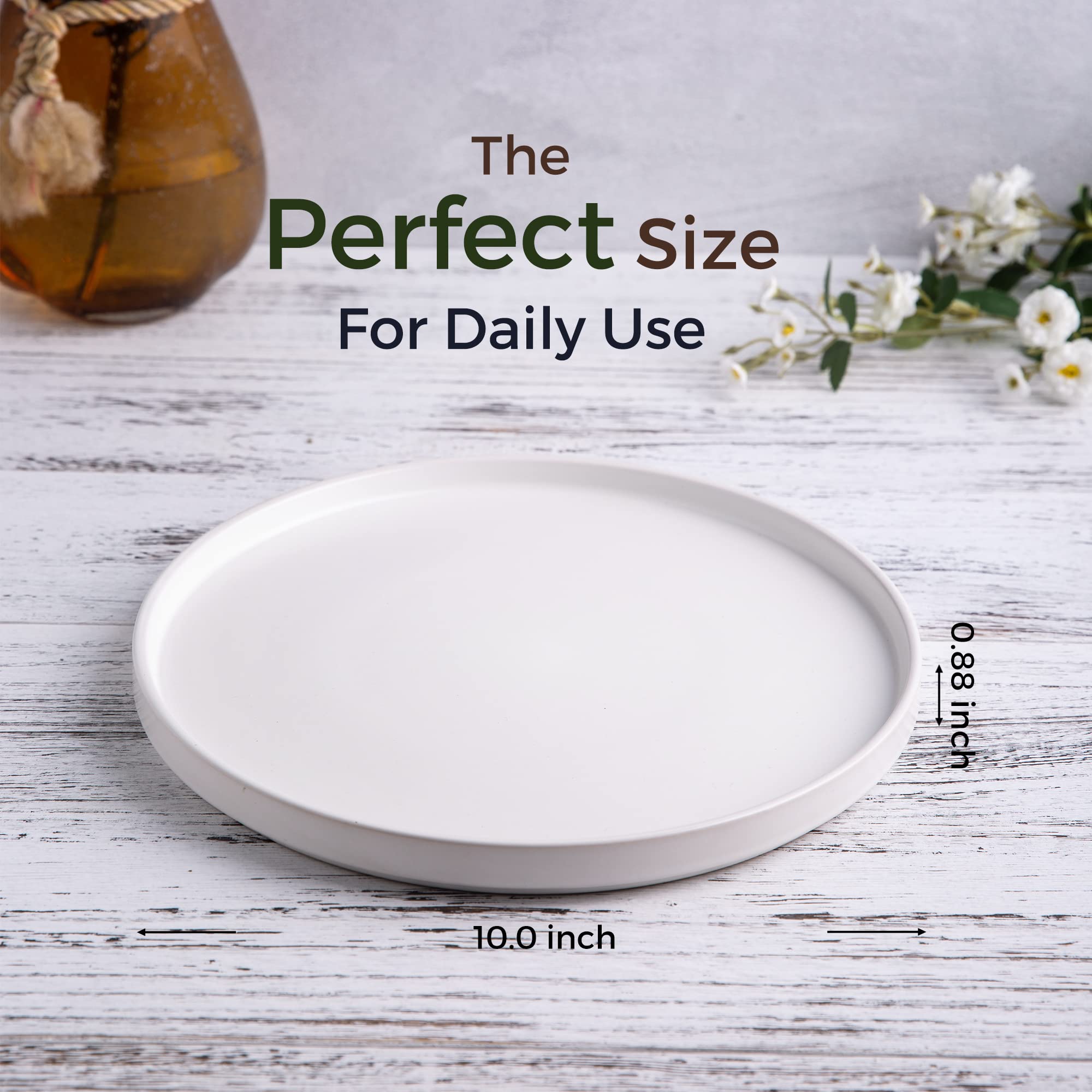 AmorArc Ceramic Dinner Plates Set of 6, 10.0 Inch Matte Stoneware Plates for Kitchen,Modern Flat Dinnerware Dishes Set,Microwave& Dishwasher Safe, Scratch Resistant, Matte white