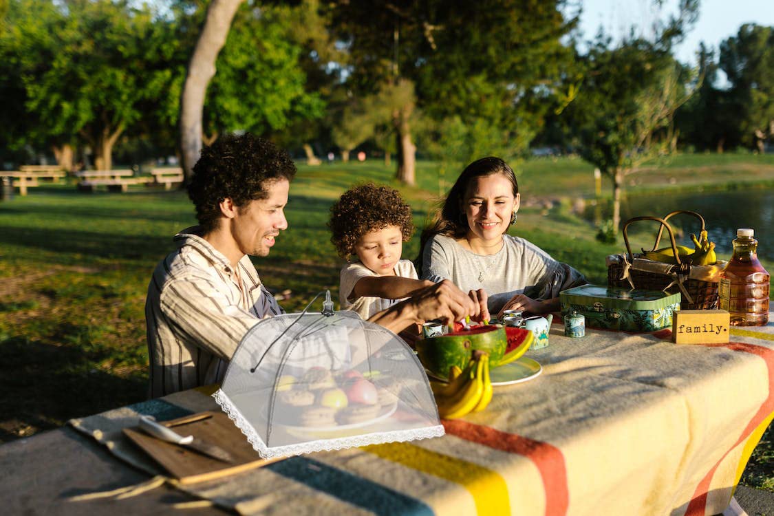 Food Covers for Outside Dining - Mesh Food Covers for Outdoors, Fly Covers for Outdoor Food - Collapsible Food Tent, Food Umbrella Mesh Cover - 4-Pack Picnic Food Covers - 14"x14" & 17"x17" Food Nets