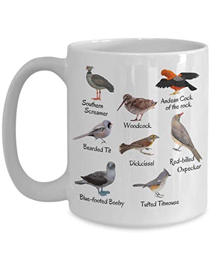 Generic Fowl Language Bird mug, funny coffee tea ceramic 15oz, White, 1 Count (Pack of 1)