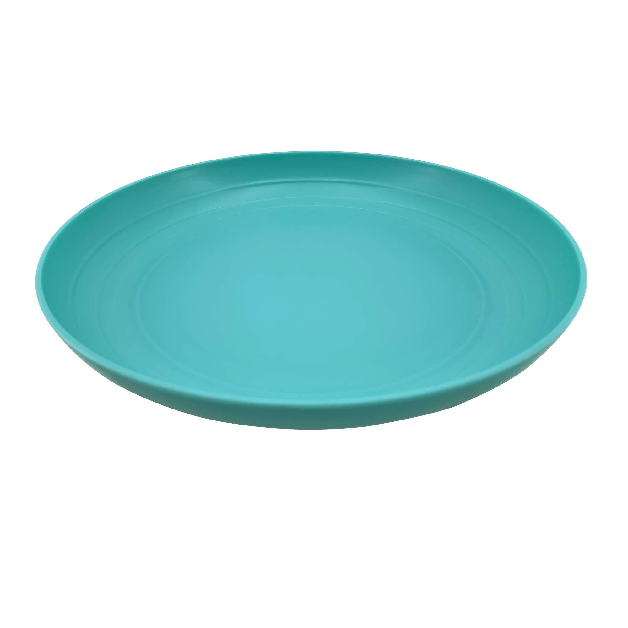 AOYITE 8-inch Plastic Plates Reusable, Lightweight Dinner Plate, BPA Free, Dishwasher Safe & Microwaveable, Dinnerware set of 6 Coastal Color