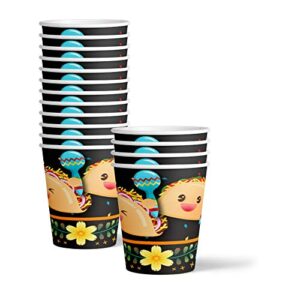 Taco Twosday 2nd Birthday Party Supplies Set Plates Napkins Cups Tableware Kit for 16