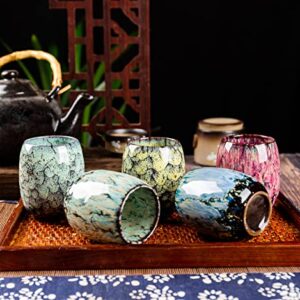 CteaTs Chinese/Japanese Style Ceramic Tea Cup Set Coffee Mug Asian Kung Fu Teacups Ceramic Yerba Mate Cup Set(5 Pack)