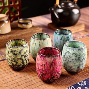 CteaTs Chinese/Japanese Style Ceramic Tea Cup Set Coffee Mug Asian Kung Fu Teacups Ceramic Yerba Mate Cup Set(5 Pack)