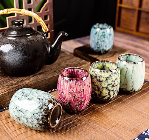 CteaTs Chinese/Japanese Style Ceramic Tea Cup Set Coffee Mug Asian Kung Fu Teacups Ceramic Yerba Mate Cup Set(5 Pack)