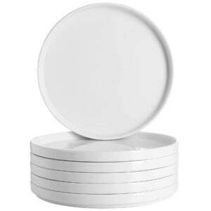 onniyor porcelain dinner plates set, round dessert salad plates, 8 inch serving dishes, scratch resistant flat plates, microwave, oven, and dishwasher safe, set of 6, white