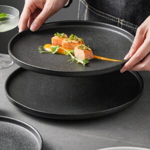 Lareina Dinner Plates, Scratch-resistant, 10.25 Inch Flat Ceramic Plate Set of 4, Porcelain Plates with Lipped Edge for Salad Steak in Kitchen Restaurant, Natural Primitive Texture (Cast Iron Black)