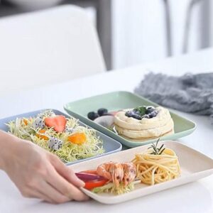 Roucerlin 4 Colors Big Rectangular Dinner Plates, Unbreakable Wheat Straw Plates, Reusable Durable Lightweight Salad Plate for Fruits, Snack, Pasta, Cake, Dessert, Dishes (9.3in)