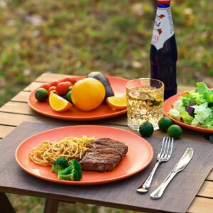 TP 10" Melamine Dinner Plates, 6-piece Plate Set Unbreakable Serving Dishes for Indoors and Outdoors, Unbreakable Dinner Service for 6, Matte-Orange Red