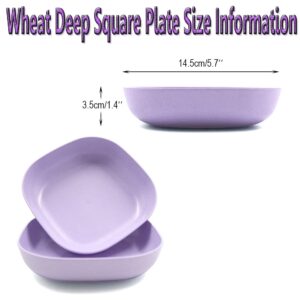 NA 6 PCS 5.7inch/14.5cm Square Lightweight Wheat Straw Plates, Deep Dinner Dishes, Camping Dinnerware for Serving pasta fruit (Purple)