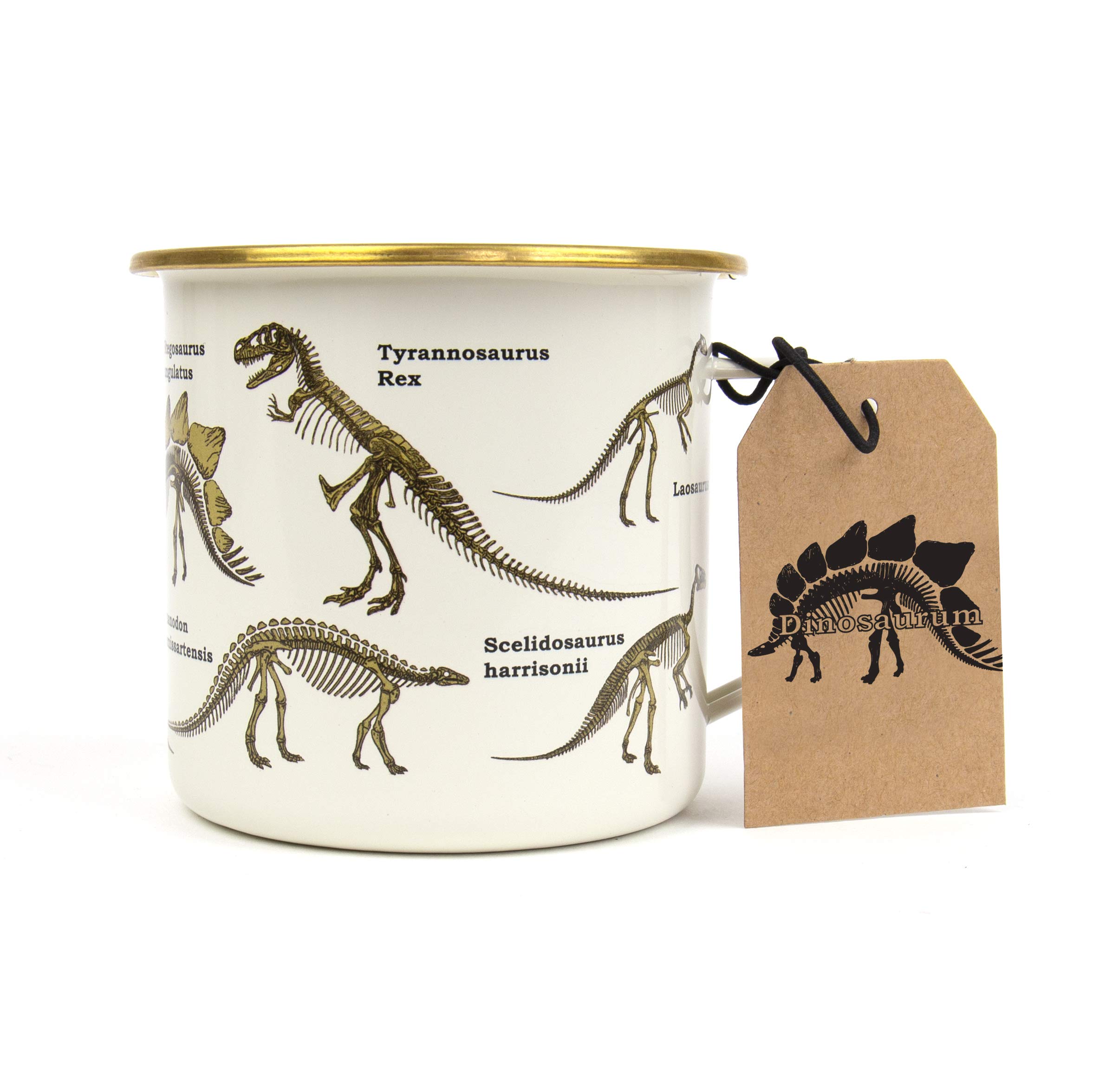 Gift Republic Dinosaur Enamel-Mug, 1 Count (Pack of 1), Multi, 500ml