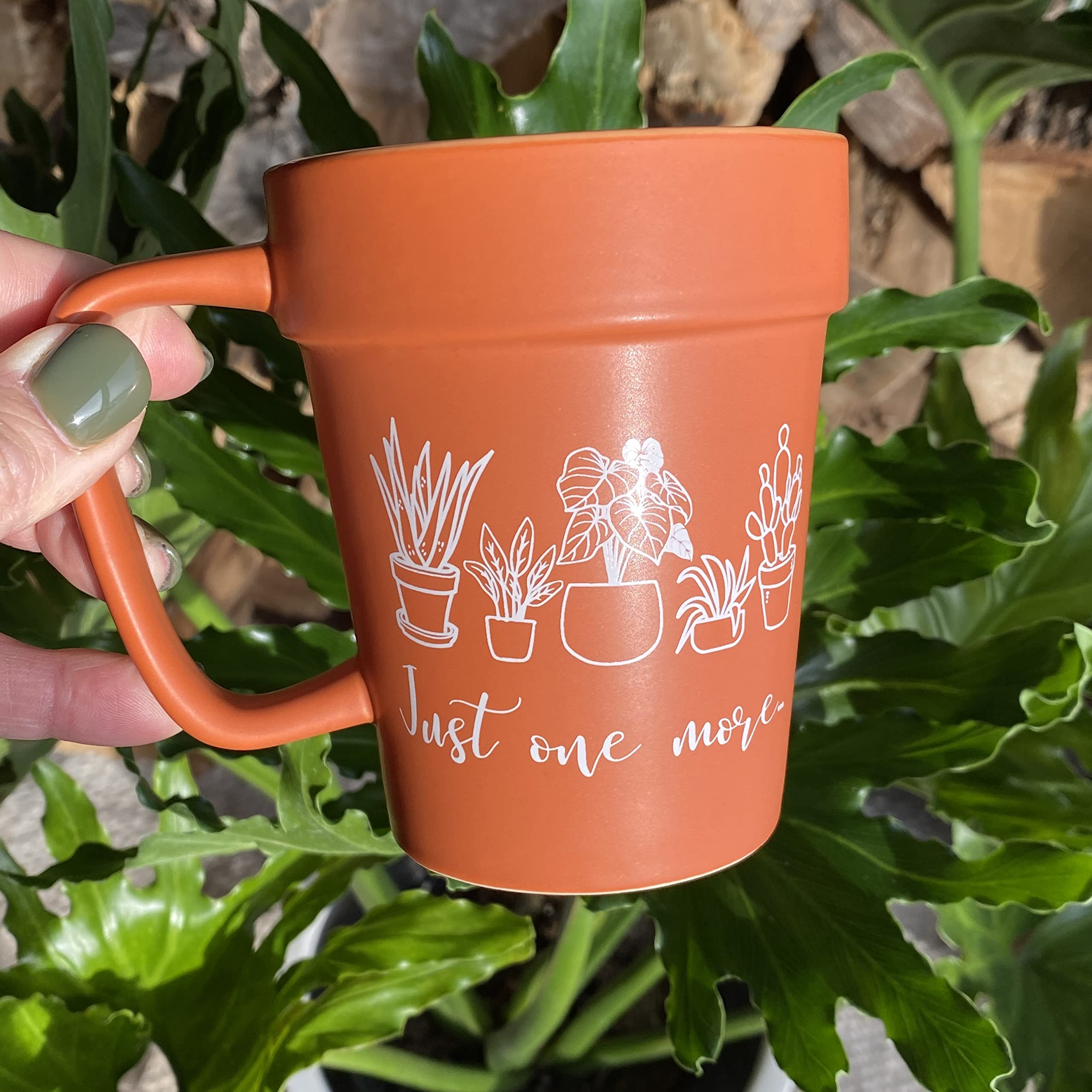 Plant Mug - Plant Gift - Plant Lady - Plant Lover Gift - Crazy Plant Lady - Coffee Lover Gift - Gift for Her - Gift for Mom - Garden Mug