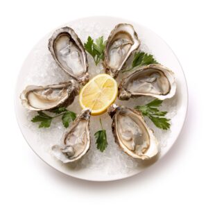 Maine Man Oyster Plate, Fine White Porcelain, 9-Inch