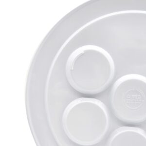 The Dreidel Company Passover Seder Plate Melamine Seder Plate Spring Garden Design, Traditional Kaarah For Pesach 12" (Single)