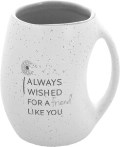 pavilion - i always wished for a friend like you 16 ounce large coffee cup -friend gift idea, 1 count 3.75” x 3.75”, gray