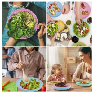 PTNITWO Lightweight Wheat Straw Plates,Plastic Plates Reusable,Unbreakable Deep Dinner Plates, Assorted Colors Dinnerware Sets,Dishwasher Safe