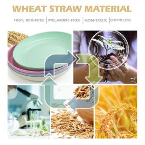 PTNITWO Lightweight Wheat Straw Plates,Plastic Plates Reusable,Unbreakable Deep Dinner Plates, Assorted Colors Dinnerware Sets,Dishwasher Safe