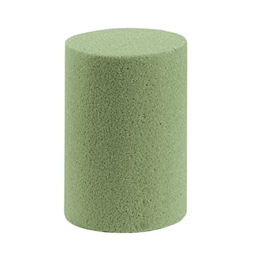 FloraCraft Floral Desert DryFōM 2 Piece Mug Plug 2.4 Inch x 3.75 Inch Green