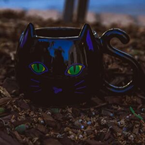 Disney Hocus Pocus Binx Black Cat Sculpted Ceramic Mug | Holds 20 Ounces