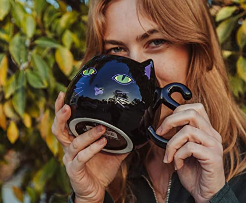 Disney Hocus Pocus Binx Black Cat Sculpted Ceramic Mug | Holds 20 Ounces