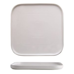 aiyoo porcelain dinner plates white 6 inch square ceramic dinner plates set of 2 dessert salad plates for kitchen restaurant serving dishes dinner plate