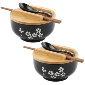 Aeiniwer Japanese Vintage Noodle Bowl with Lid Spoon Black Ceramic Ramen Bowl Hand Drawn Rice Bowl Retro Tableware Noodle Bowl 6.5 inch? (PKS-DGW-2P)