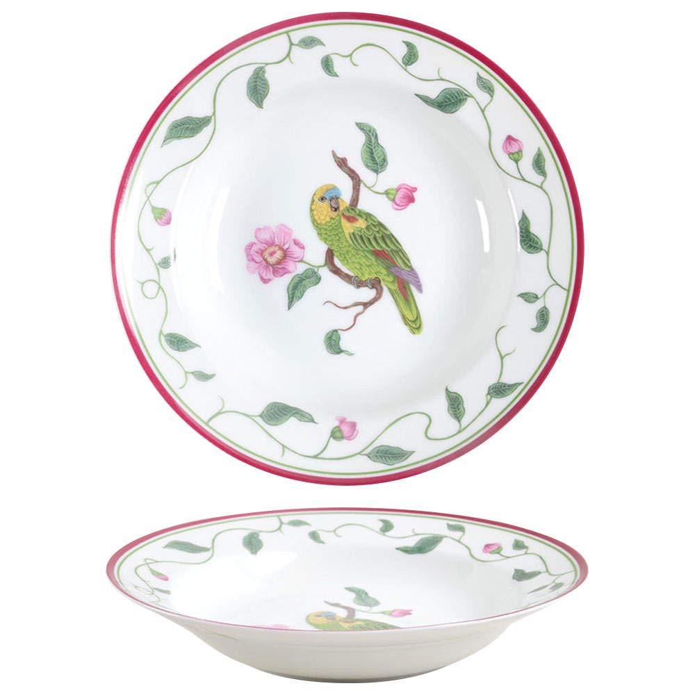 Lynn Chase Parrots of Paradise Rimmed Soup Bowl