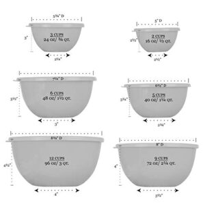 Calypso Basics by Reston Lloyd 12-Piece Enamel on Steel Bowl Set with Airtight Lids, Red