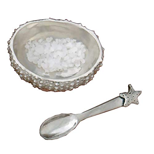 Basic Spirit Salt Bowl with Spoon - Sea Urchin - Pewter Cellar Container Box for Salt, Spices, Snacks, Rice, Side Dishes, or Ice Cream