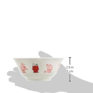 金正陶器(Kaneshotouki) Snoopy House 603134 Newbon Mini Ramen Bowl