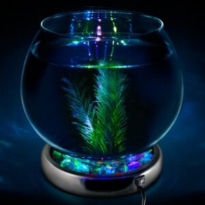 WavePoint 1237 Color Transformer LED Fish Bowl Kit, Large