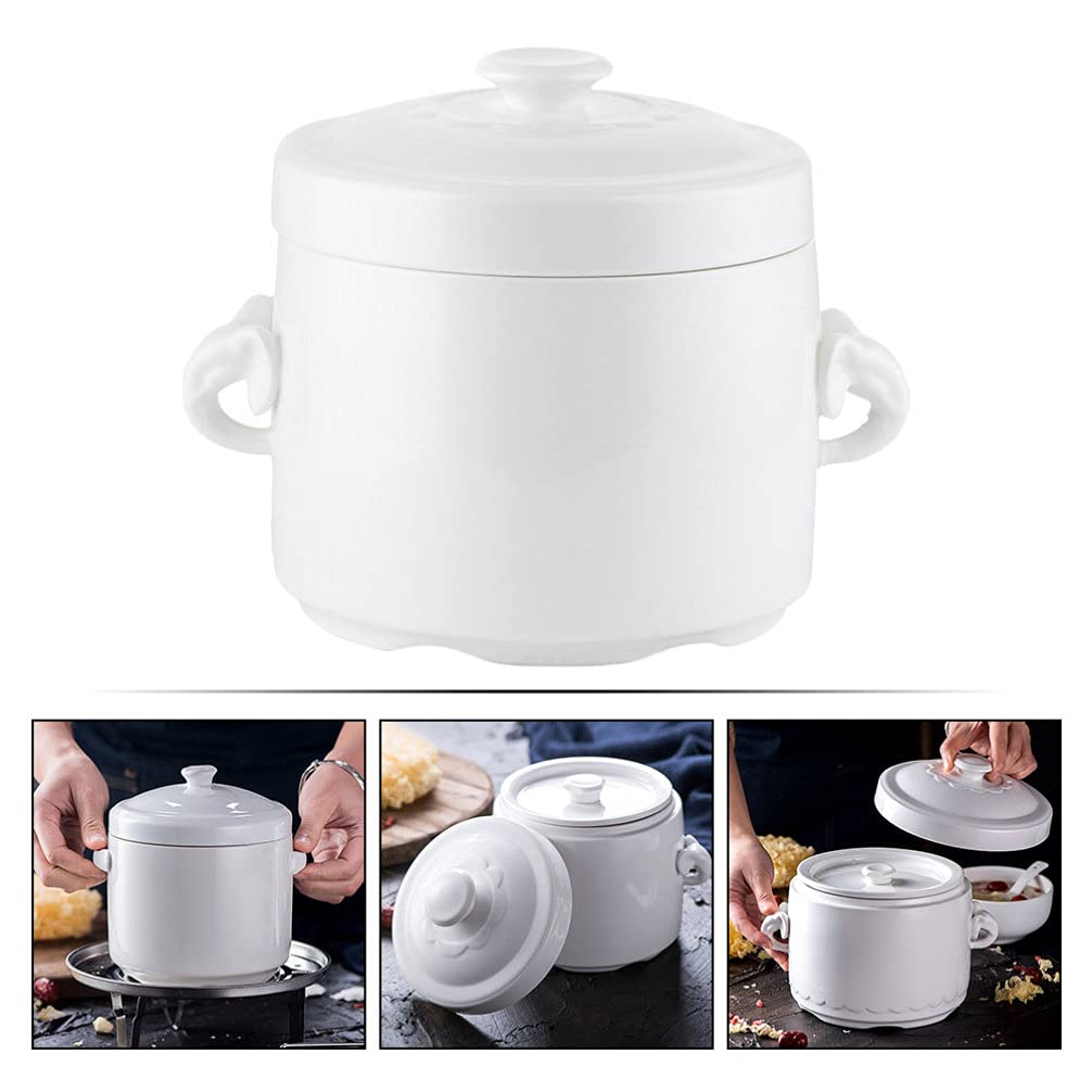 FRCOLOR Small Ceramic Stew Pot with Lid 400ml Steam Soup Bowl Steaming Cup with Handle for Home Kitchen Egg Custard Medicinal Birds Nest Tonic White